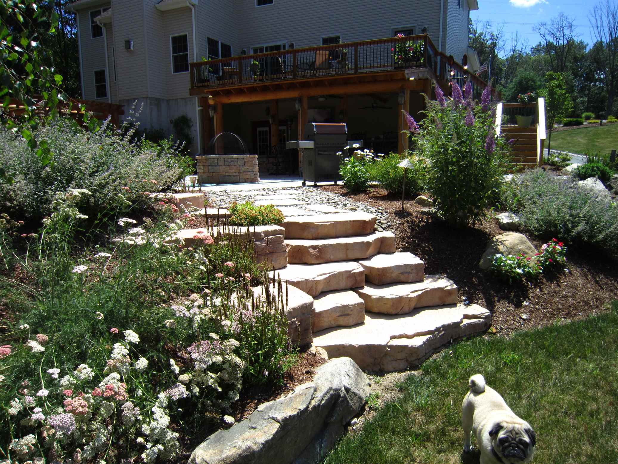 Garden Dilemmas, Delights & Discoveries, Ask Mary Stone Yarrow Babies ...