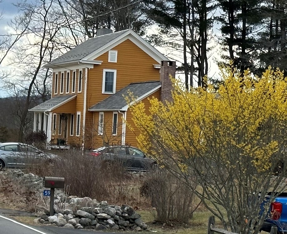 Garden Dilemmas, Delights & Discoveries, Ask Mary Stone Wonders of ...